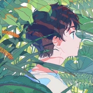 程序员小星星 