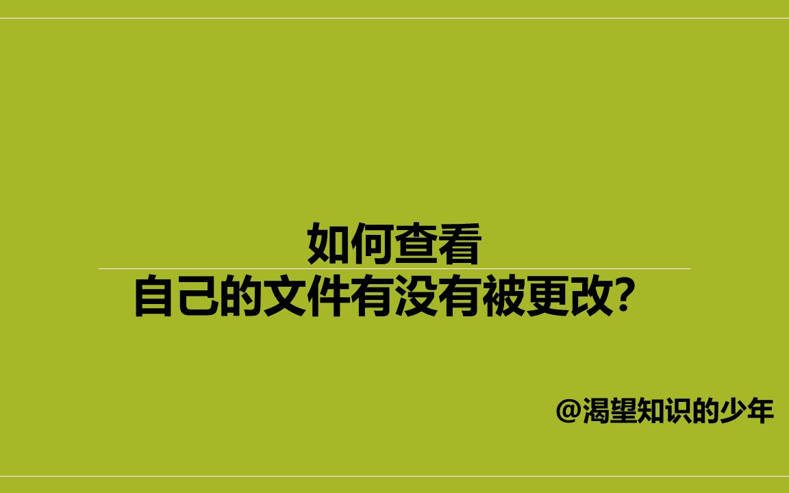 ...如何查看文件被篡改的内容?这样就按不同的颜色显示出来啦!Word...