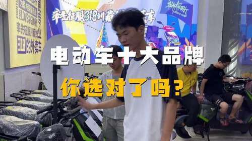 十大电动车品牌终极盘点:谁才是续航与性价比之王?