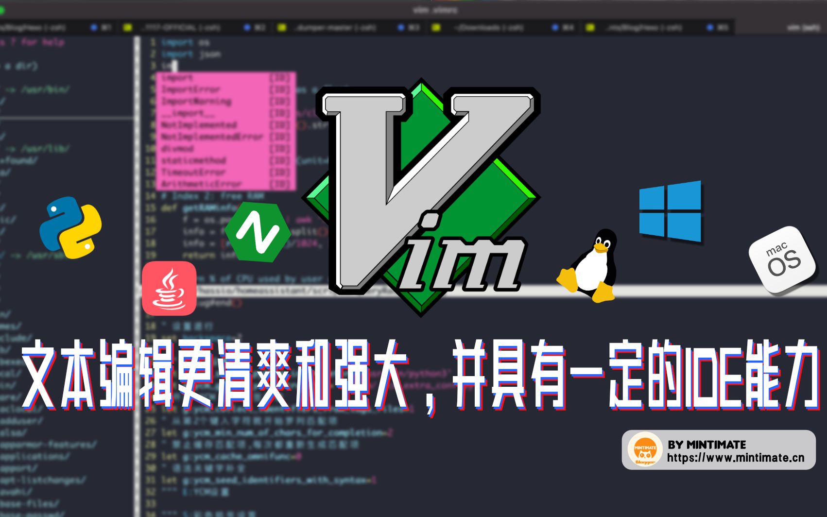 13分钟详解Linux上如何安装Vim插件—YouCompleteMe:文本编辑更...