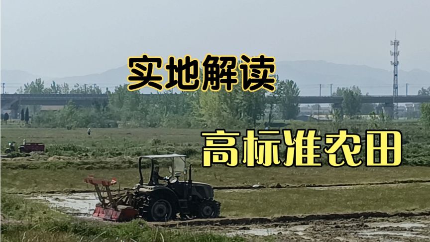 什么是高标准农田,建设高标准农田有何意义,最终是促进农民增收