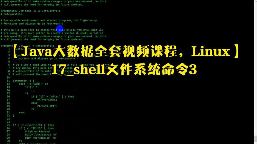 【Java大数据全套视频课程,Linux】17_shell文件系统命令3