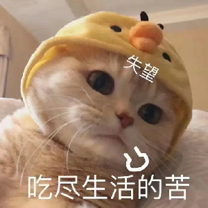 橘子橘子不酸呀 