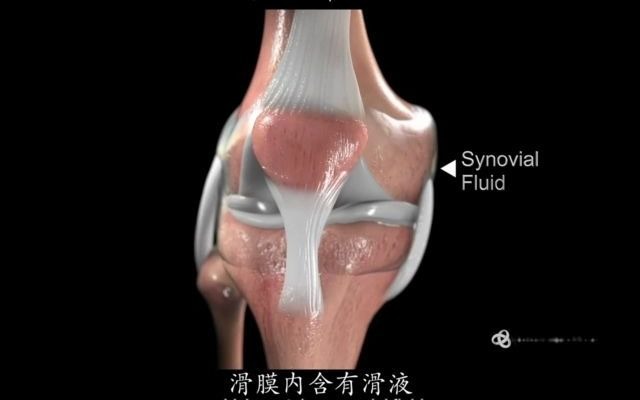 布骨医学科普:动画视频 3分钟了解膝骨关节炎