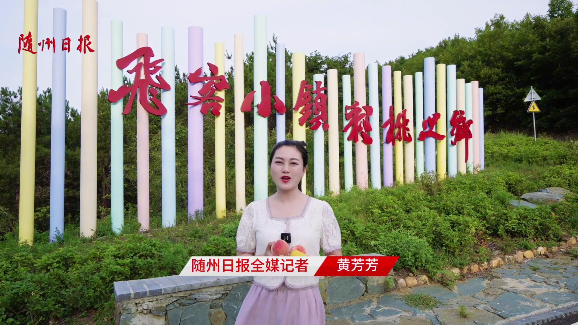 ...黄芳芳出镜、文案:黄芳芳摄影:李文军剪辑、制作:黄芳芳张和编辑:...