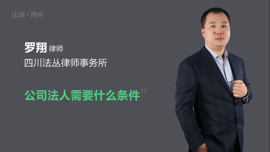 公司法人需要什么条件