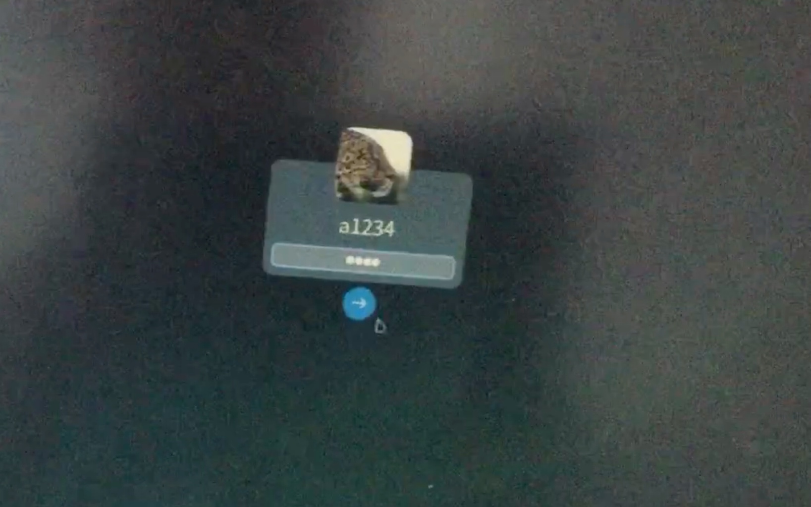 【Thinkpad】古董机皇W500第二篇:安装Deepin Linux(双系统)