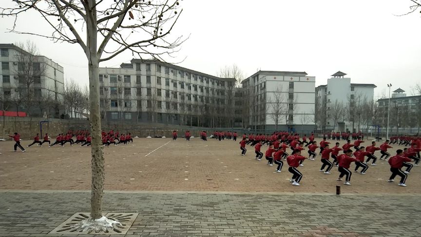少林塔沟武术学校。