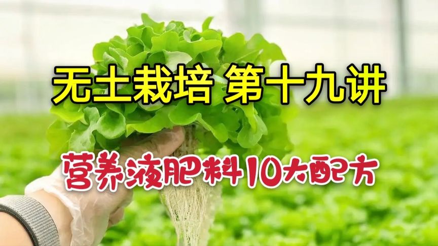 无土栽培10大营养液配方,蔬菜、花卉、水果种植都能用,赶紧学