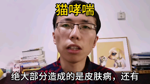 兽医陈满福告诉你猫哮喘形成原因以及危害有