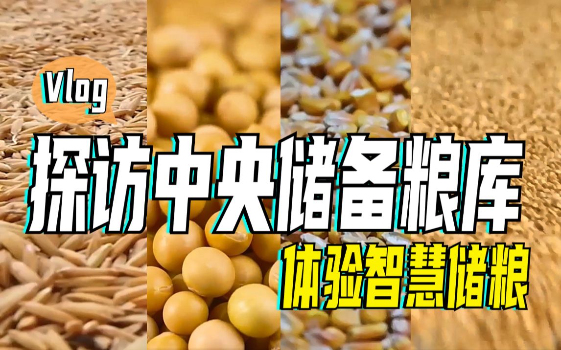 Vlog丨探访中央储备粮库 体验智慧储粮