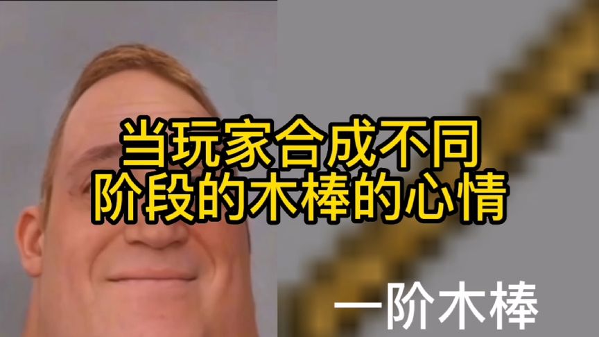 我的世界:当玩家做出压缩木剑不同阶段的木棒时的心情