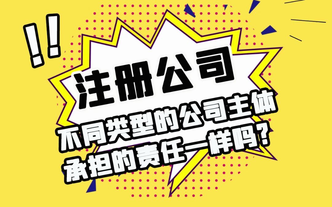 不同类型的公司主体,承担的责任一样吗?