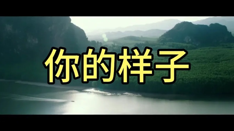 经典老歌《你的样子》好听极了