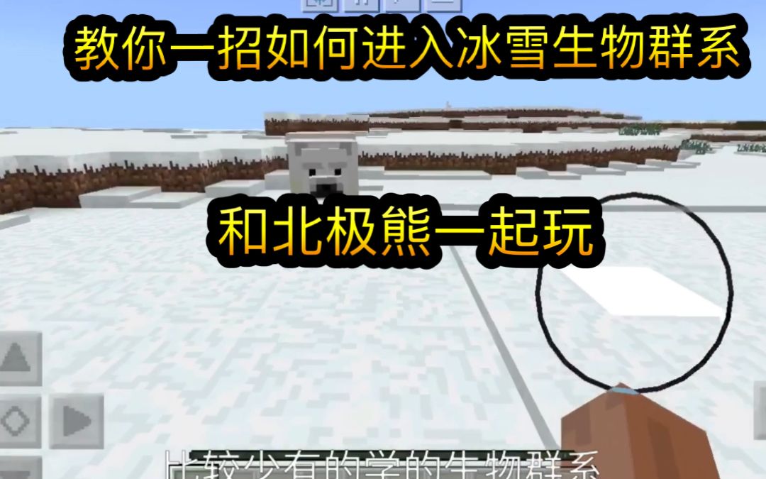 我的世界:教你一招如何进入冰雪生物群系,和北极熊一起玩