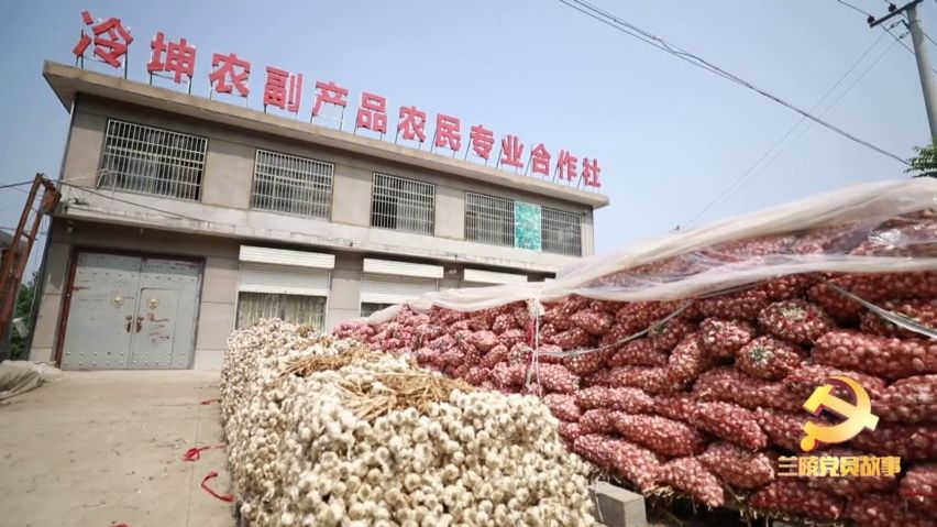 冷振东:发挥“头雁”作用助力乡村振兴