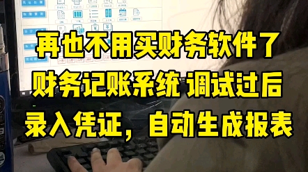 再也不用买财务软件了!财务记账系统调试过后,也太好用了。只需录入...
