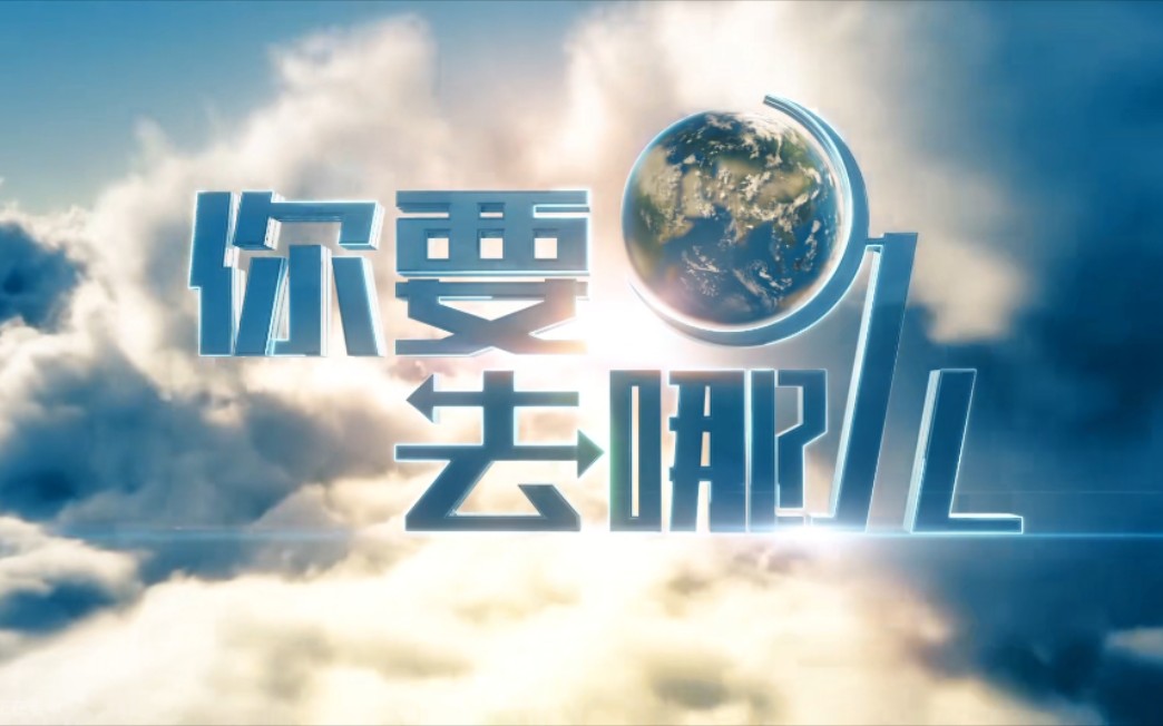 【搬运/国内综艺】你要去哪儿 Where Are You Going?全12集