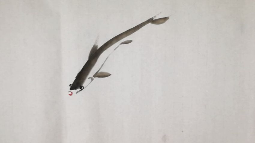 4.3.1柳条鱼画法步骤,柳条鱼,鱼虾,花鸟鱼虫,国画快速入门