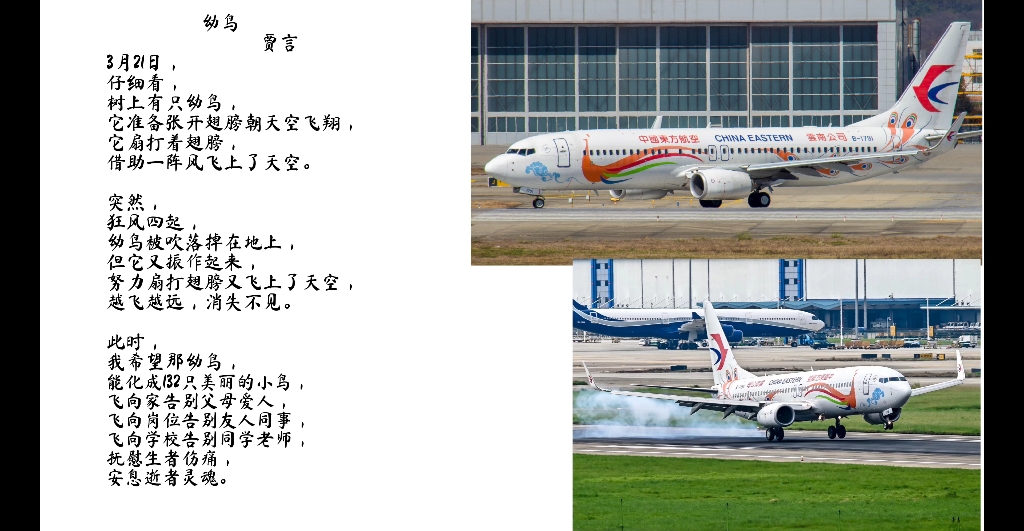 希望那132只小鸟能够在天空自由飞翔。