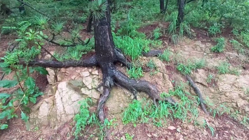 越是艰苦的环境越是磨炼人的意志