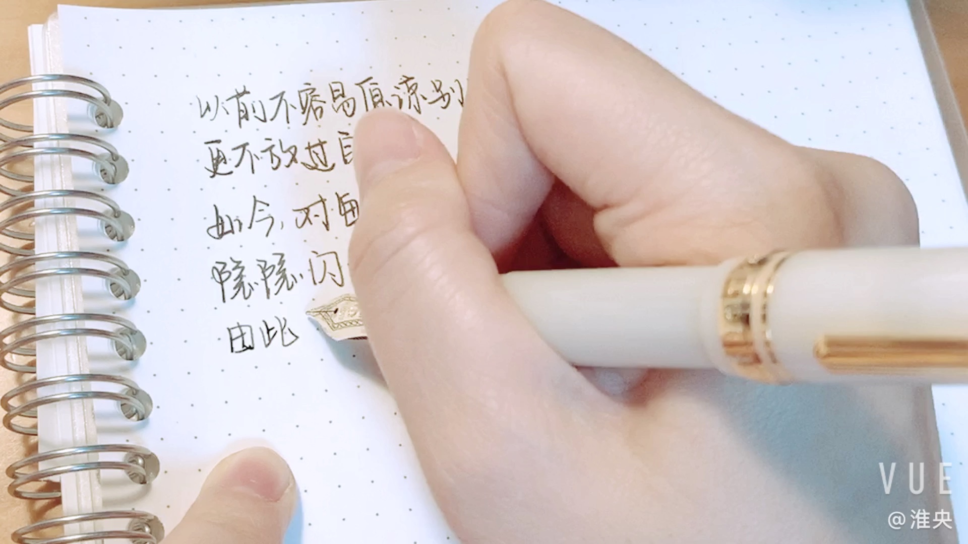 「钢笔摘抄」以前不容易原谅别人,更不放自己。(bgm 白噪音)