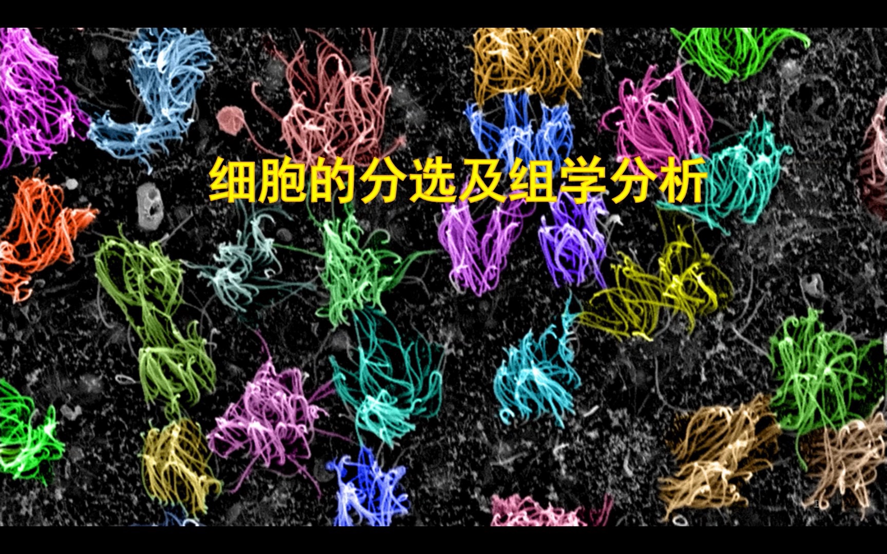 细胞分选及组学分析