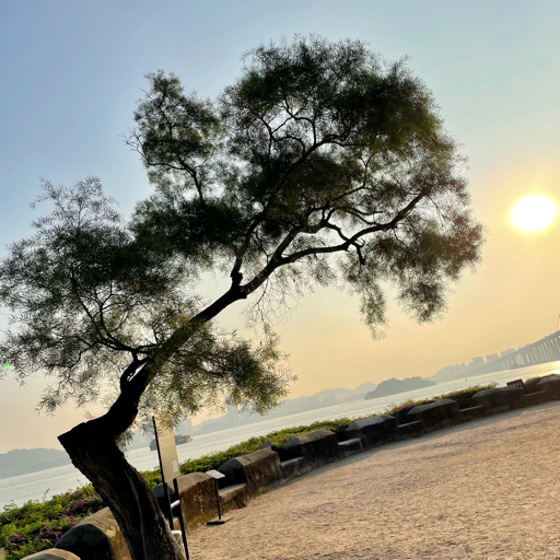 东莞出彩形象设计 