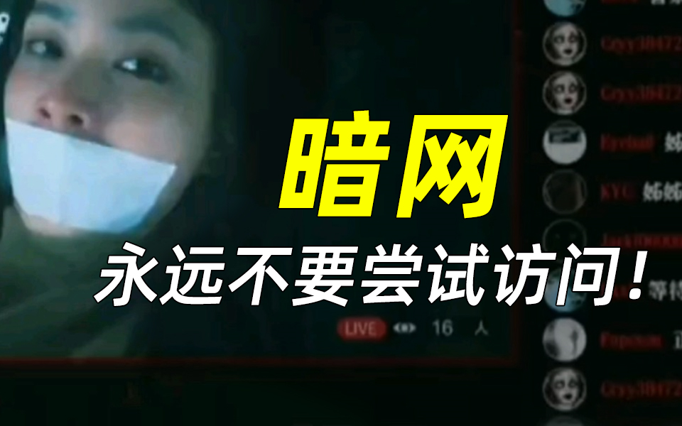 暗网,永远不要尝试访问!(本视频提供网络安全教程)