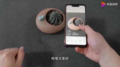 手机拍照必学技巧!一键添加个性文字,让你的照片瞬间高级感爆棚!