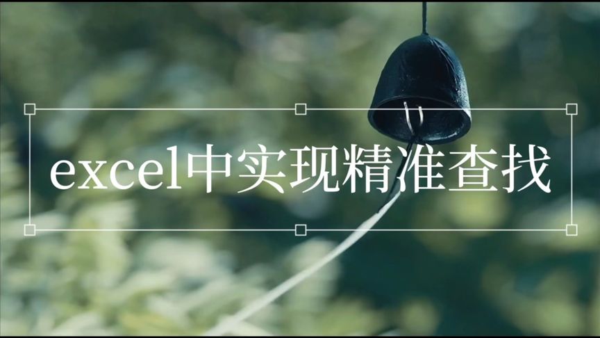 Excel查找带出一堆结果,还得费神识别?来看看怎么精准查找吧～