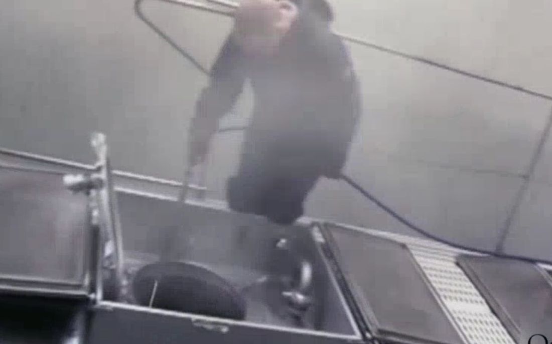 食品厂管道清洗消毒剂