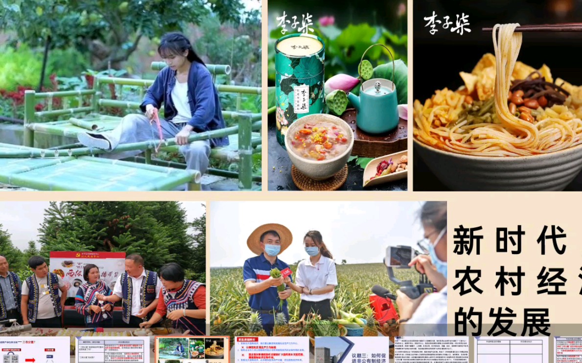 坚持“两个毫不动摇”(高中政治统编版经济与社会)
