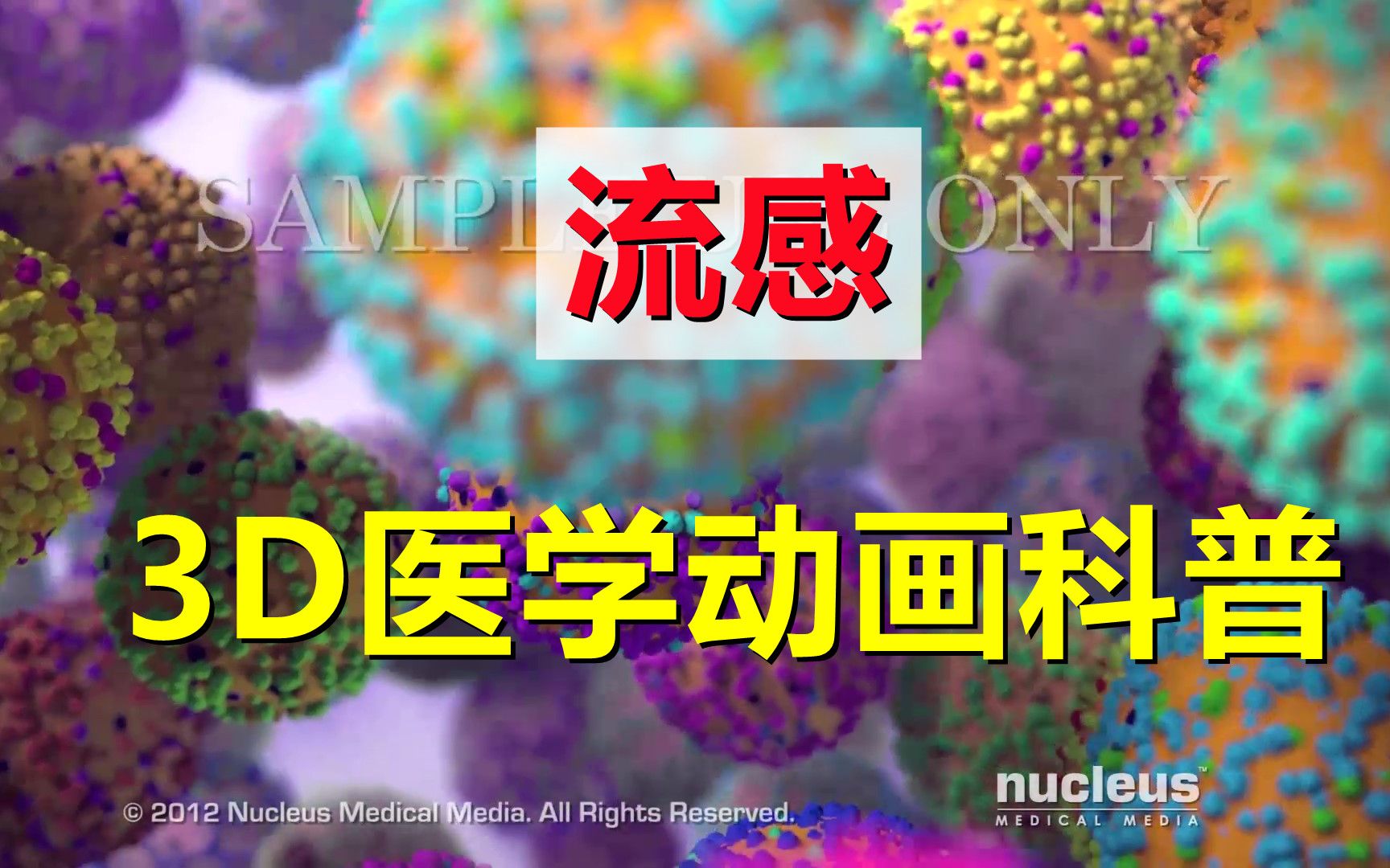 【3D医学动画科普】流感(中英双语字幕)