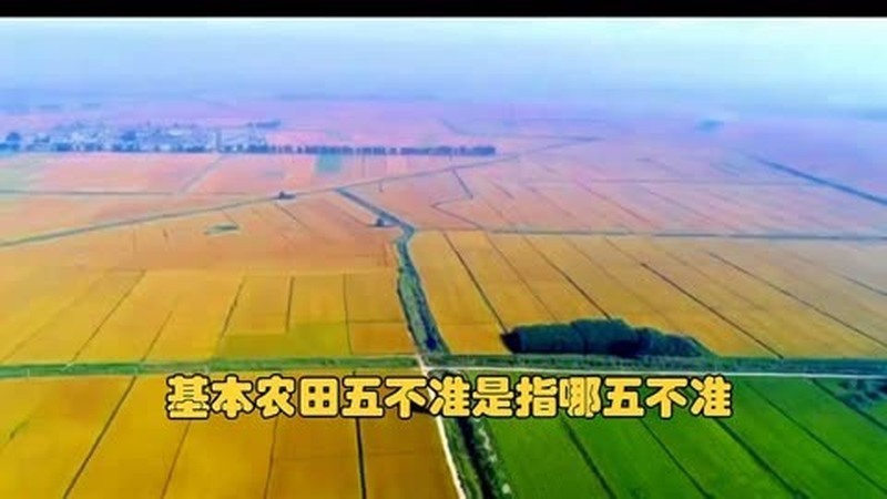 不准占用基本农田!国家重点建设项目以外非农建设受限