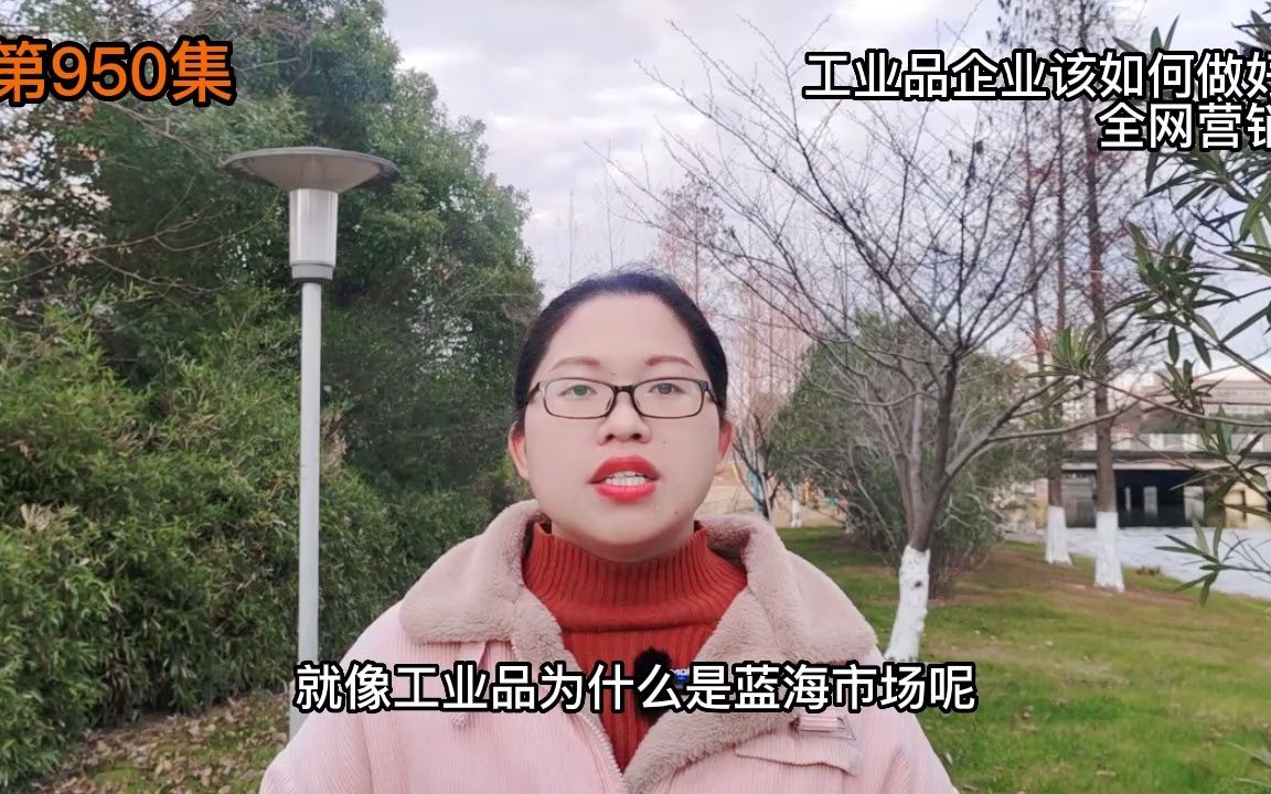950 工业品企业该如何做好全网营销 #工业品电商 #全网营销推广 #短...