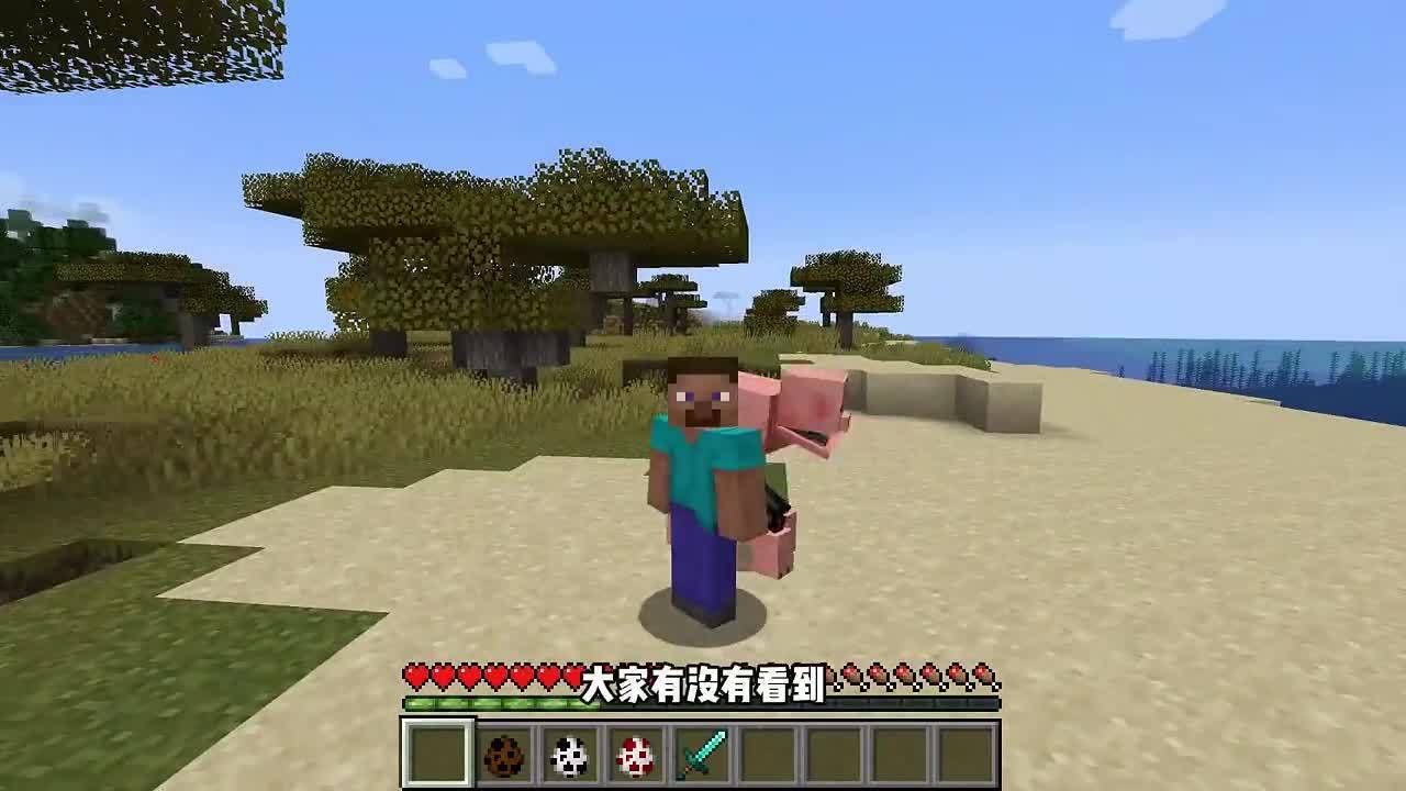 我的世界小猪变成突变生物会怎么样 #魔哒解说 #我的世界 #模组介绍