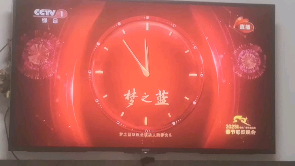 在家中2023春节联欢晚会倒计时+高德地图我的2022年终总结+梅花