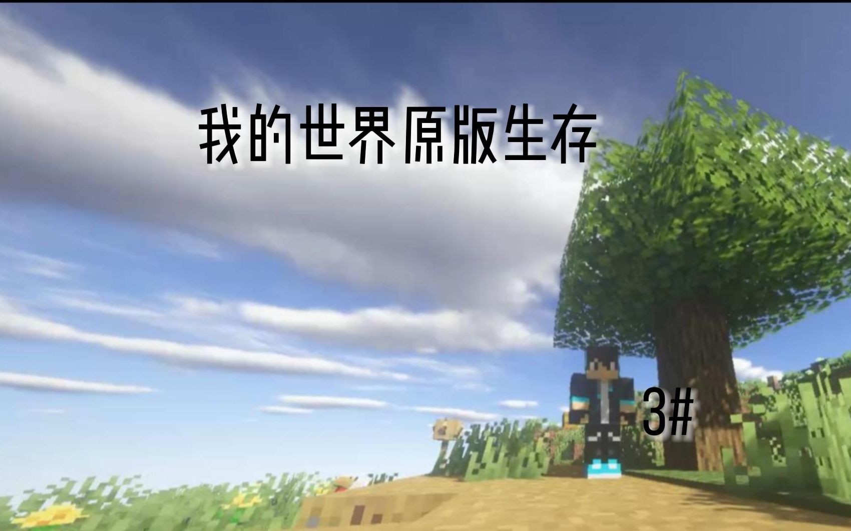 我把我的世界玩成了捡装备模拟器!!【minecrarft#1】