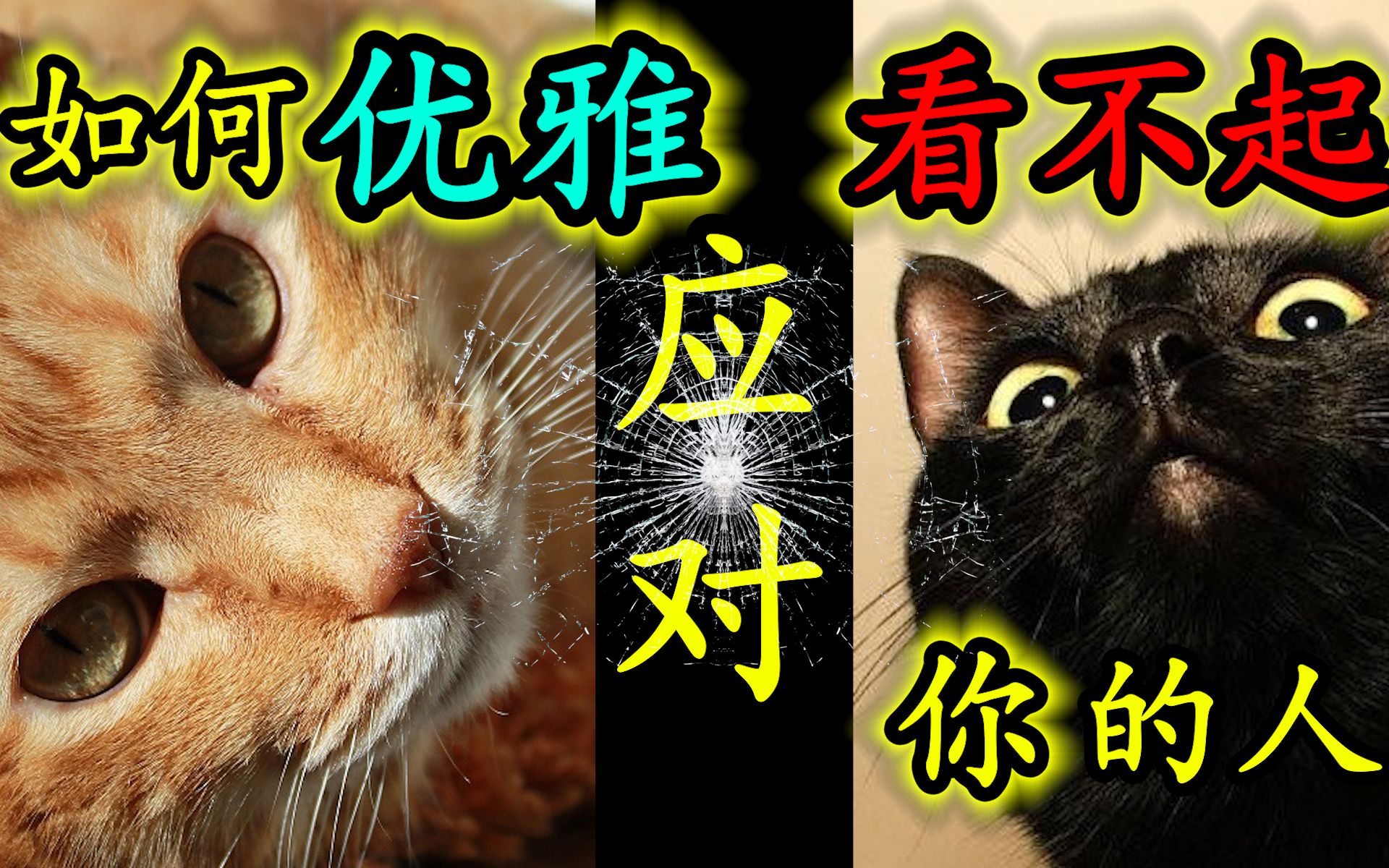 被小学班主任怒吼【没出息】的北大学子教你优雅还击【私信无数-NO....