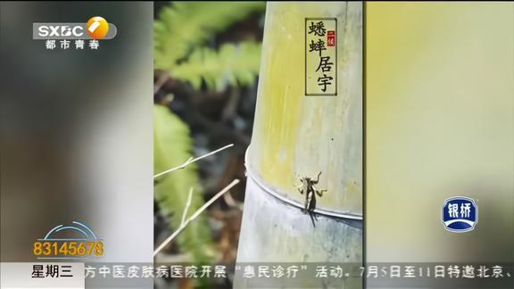 小暑节气到入伏倒计时 防暑指南请收好