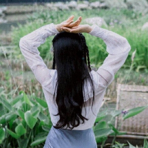 木兰薇薇 