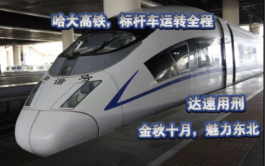 ...900KM只停2站 G49一等座大连北站—哈尔滨西站全程运转记录体验