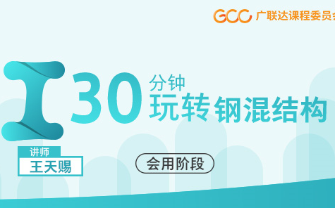 30分钟玩转钢混结构