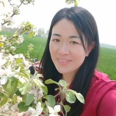 山东老榆木家具工厂店 