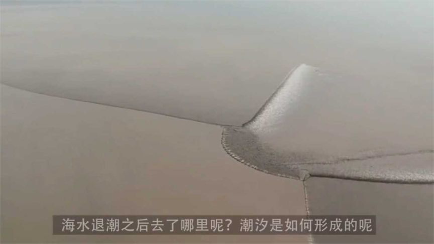钱塘江大潮,这么大的潮是如何形成的呢? 邯郸爱棠教育、教育