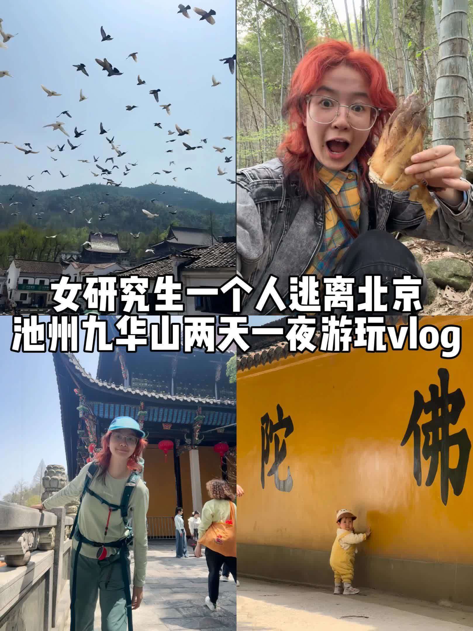 九华山,一个集爬山、上香、挖野菜、美食于一身的宝地 池州九华山...