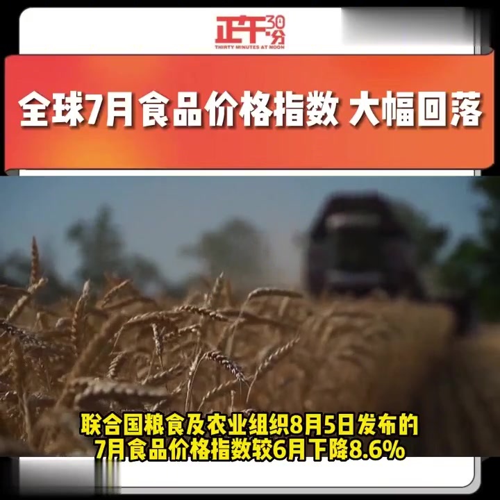 全球7月食品价格指数大幅回落