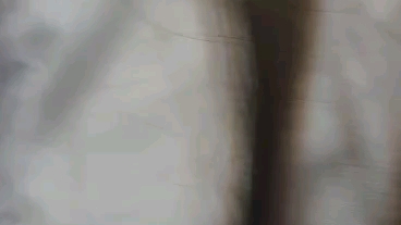 qPCR仪器操作