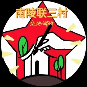 赴联三村实践调研团队 